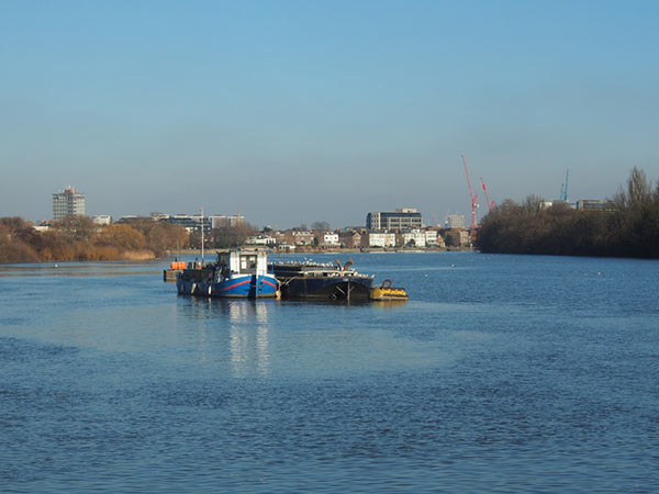Chiswick Pier circular river walk