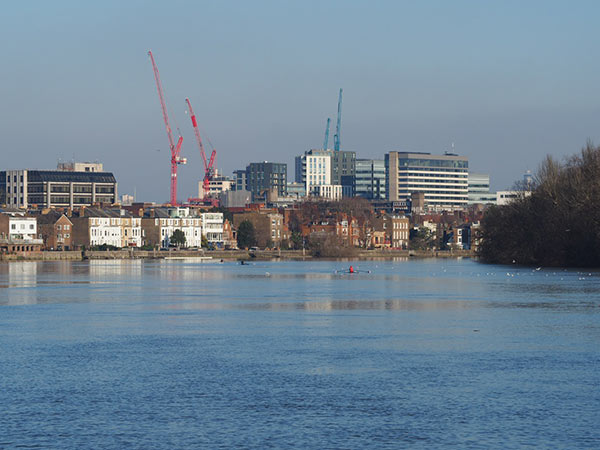 Chiswick Pier circular river walk