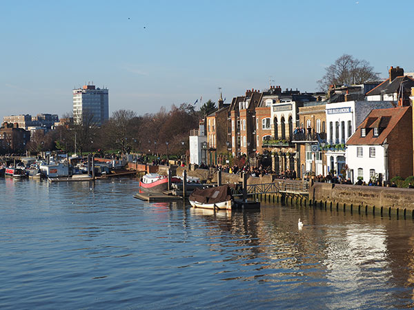 Chiswick Pier circular river walk