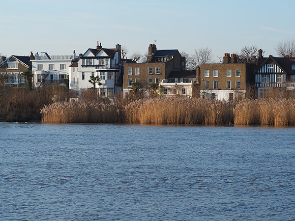 Chiswick Pier circular river walk