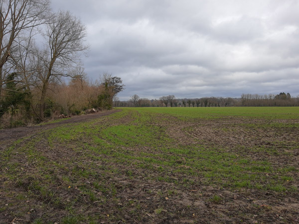 Widbrook Common and Cookham Circular Walk
